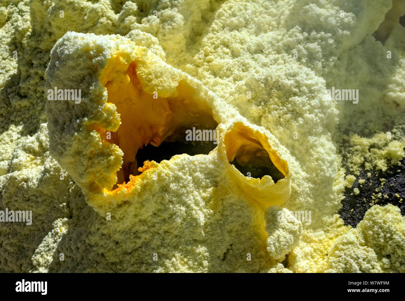 Sulphur fumaroles inside caldera of Sierra Negra Volcano, Galapagos ...