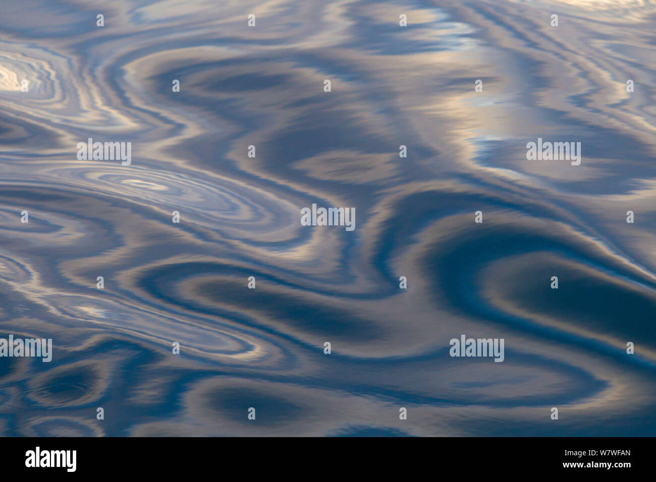 Patterns formed on surface of sea by sunlight, Svalbard, Norway, August ...