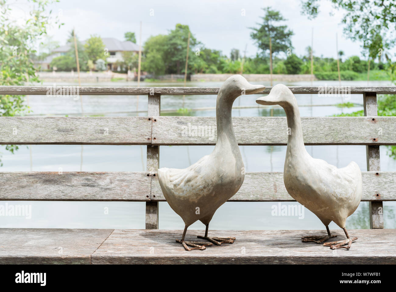 a couple of white goose standing on a wooden bridge near the river, A ...