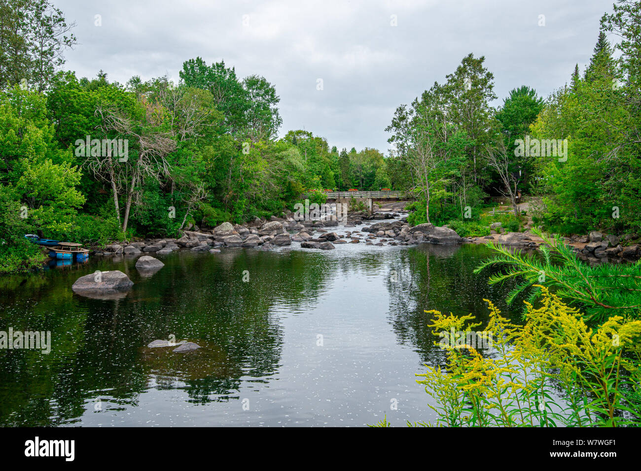 Tree stream landscape hi-res stock photography and images - Alamy