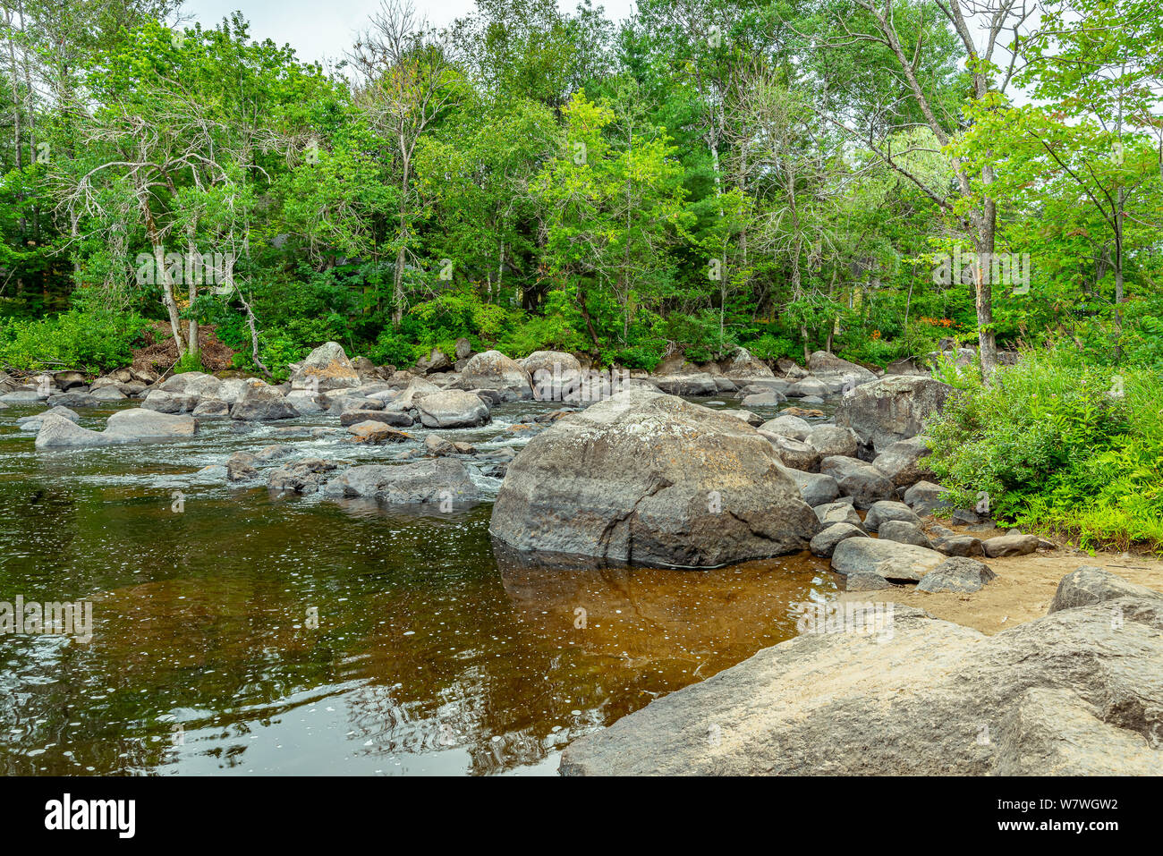 stream and trail landscape Stock Photo - Alamy