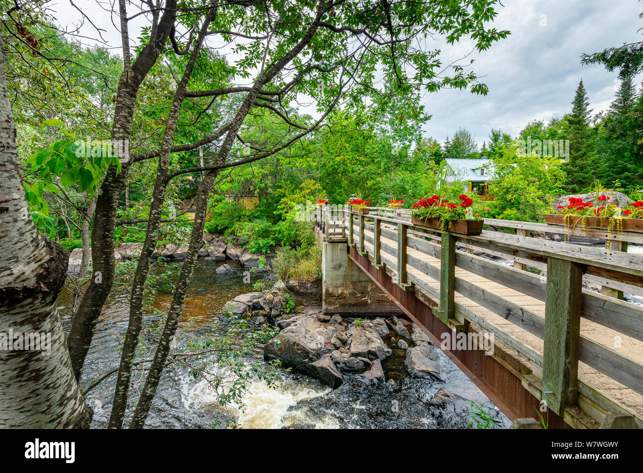 stream and trail landscape Stock Photo - Alamy