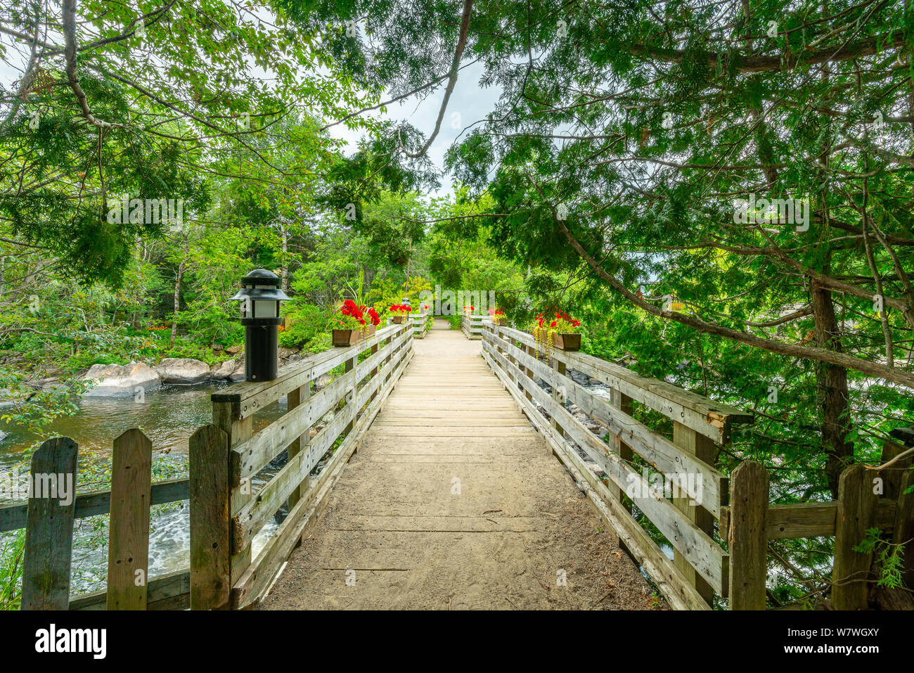 Stream cours hi-res stock photography and images - Alamy