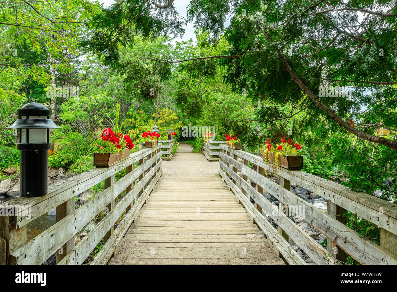 Stream cours hi-res stock photography and images - Alamy