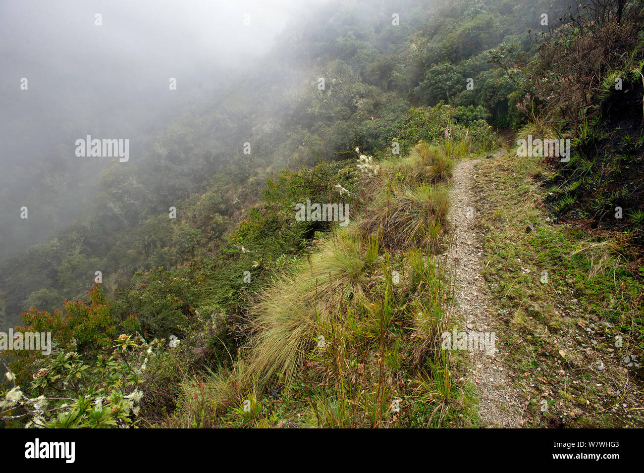 Trails footpath hi-res stock photography and images - Alamy
