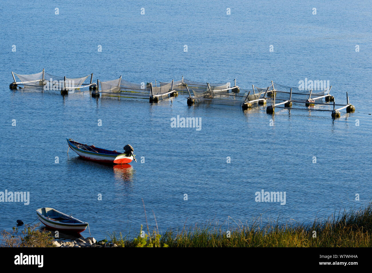 Floating setup with nets for trout breeding at lake Titicaca, Bolivia ...