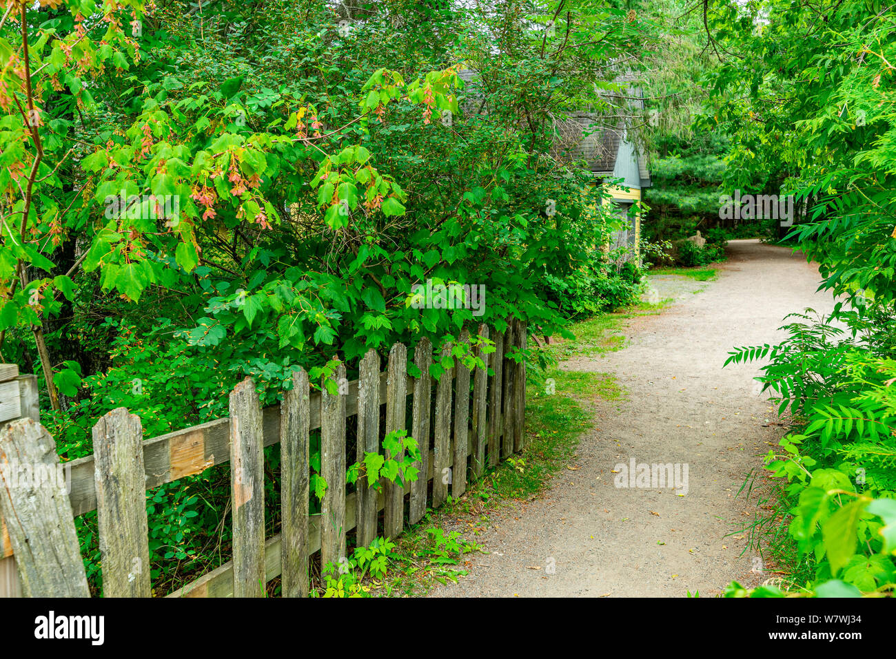 stream and trail landscape Stock Photo - Alamy