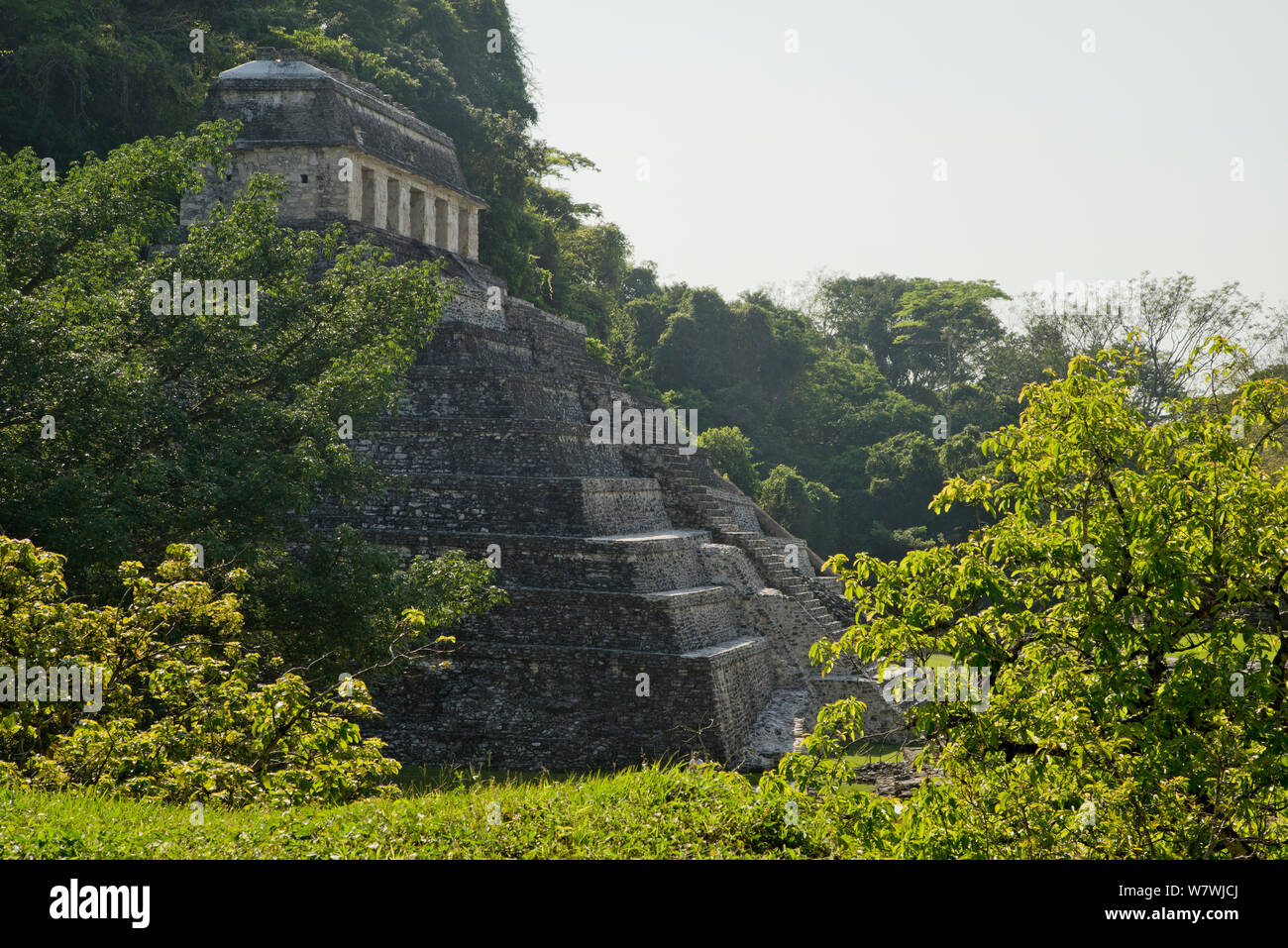 The Palenque Mayan ruins - Temple of the Inscriptions, Chiapas, Mexico ...