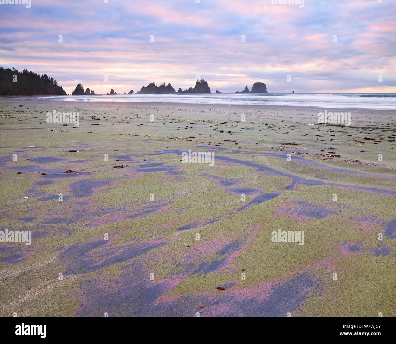 Colour image hi-res stock photography and images - Alamy