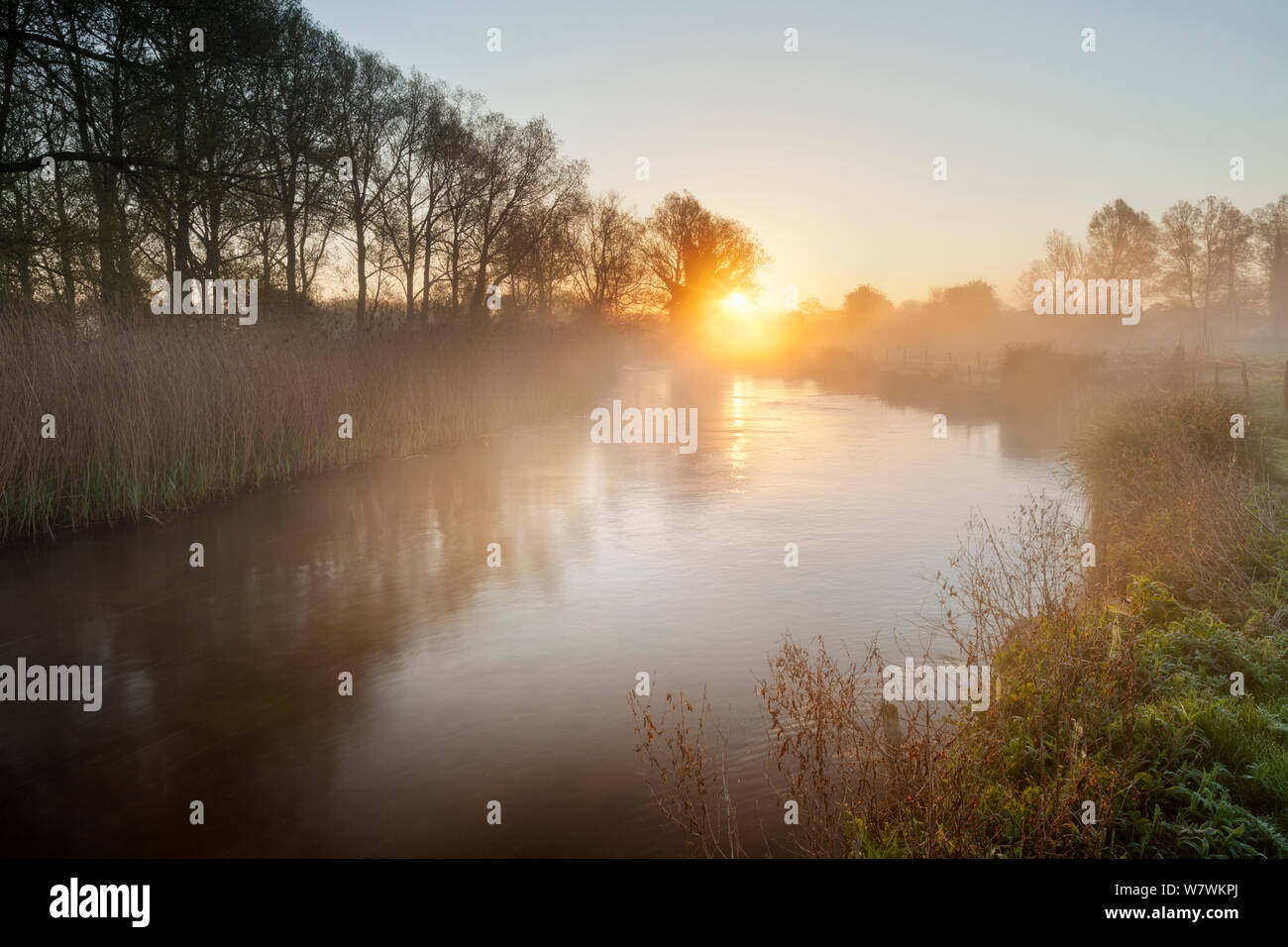 Itchen river hi-res stock photography and images - Alamy