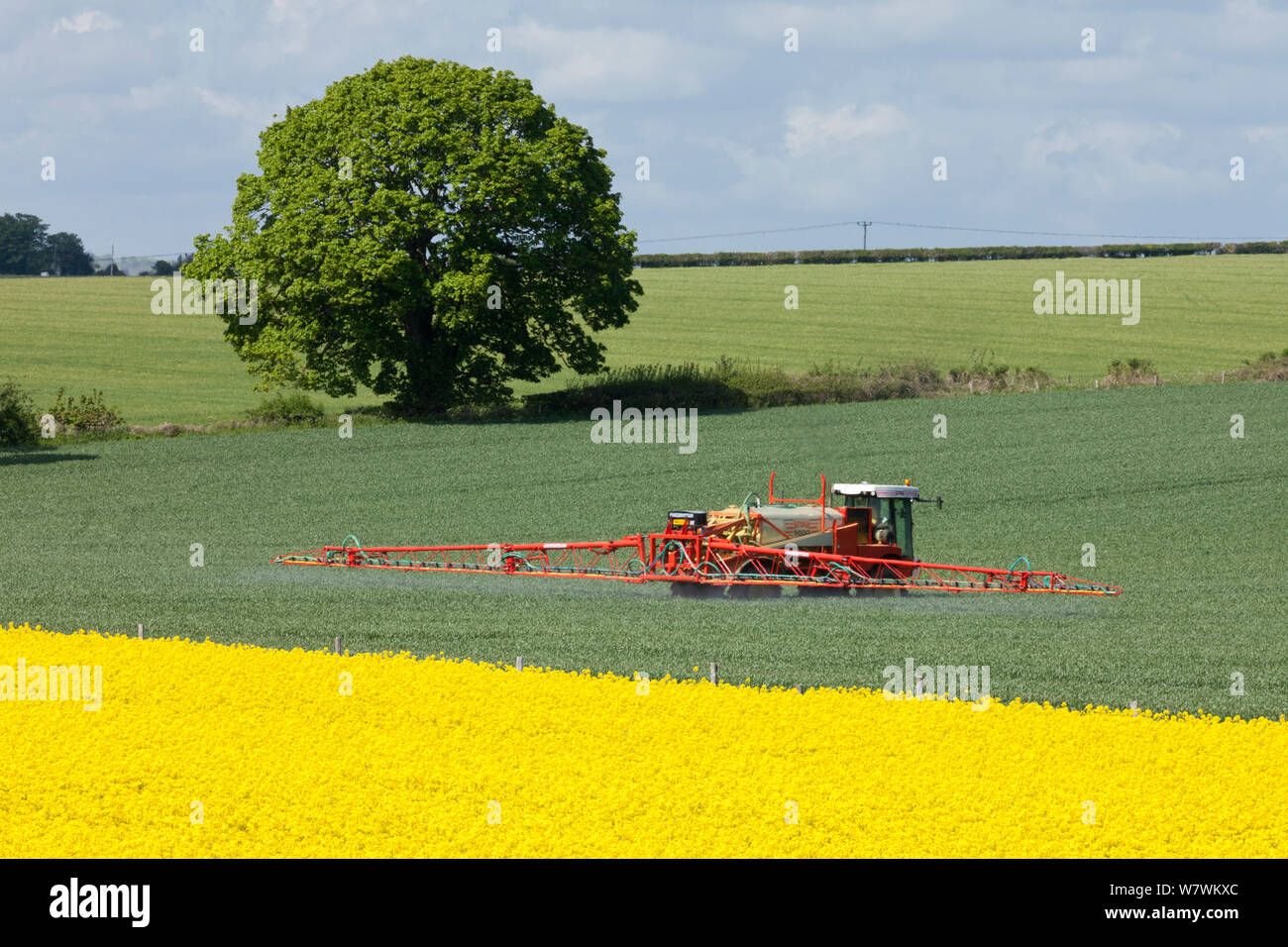 Crop sprayer working in an arable field, Moor Crichel, Dorset, England ...