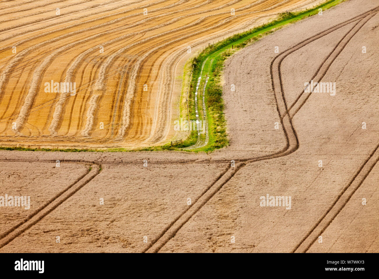 Chalk downland landscape with mixed farming, Cranborne Chase, Wiltshire ...