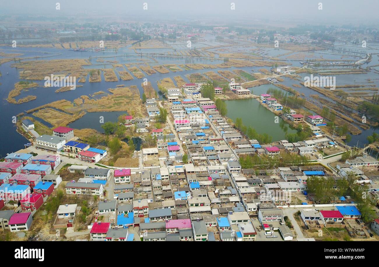 Aerial view of Shaozhuangzi village surrounded by the Baiyangdian ...