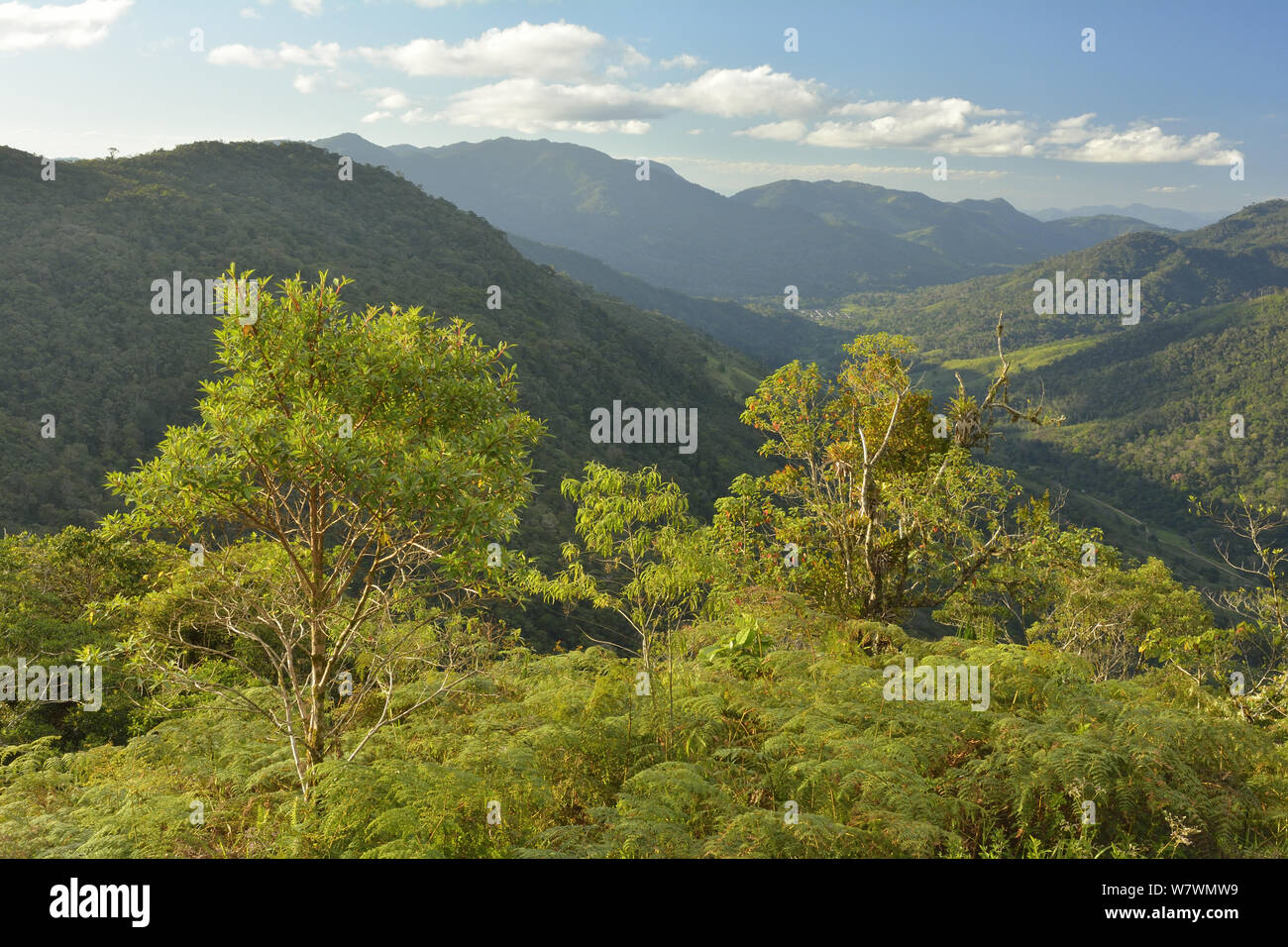 Private natural heritage reserve hi-res stock photography and images - Alamy