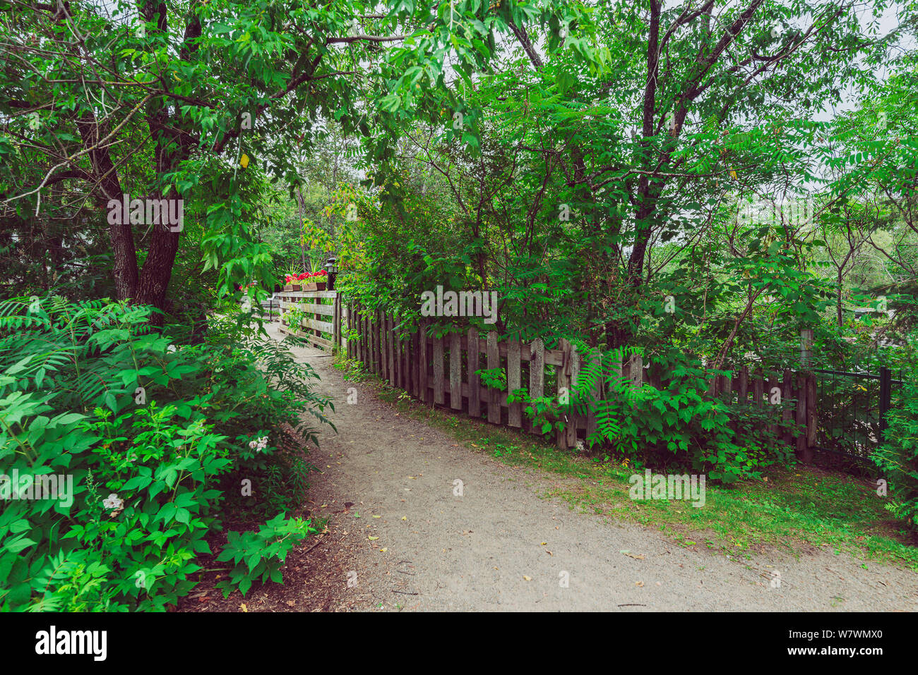 stream and trail landscape Stock Photo - Alamy