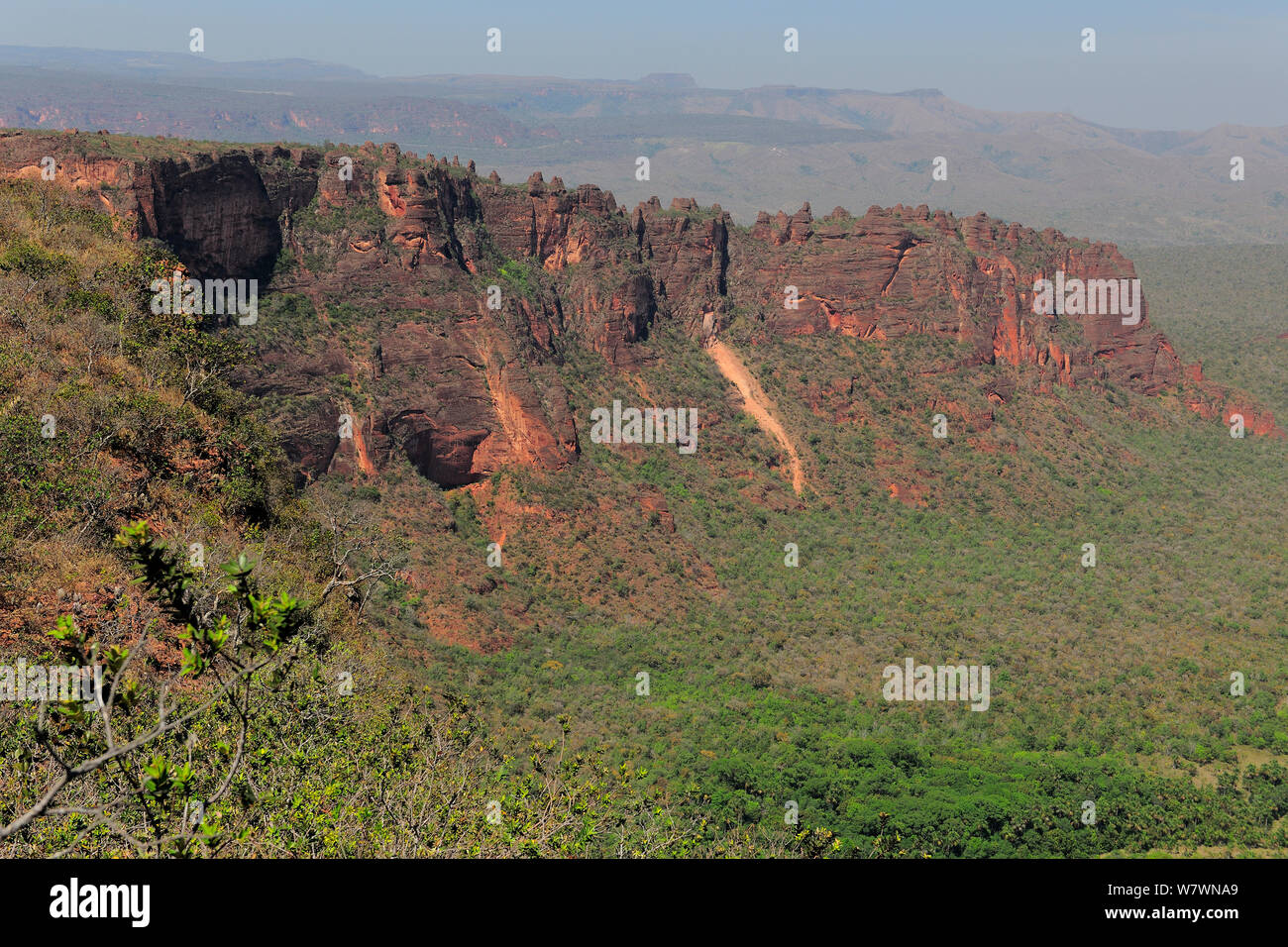Cerrado landscape brazil hi-res stock photography and images - Alamy