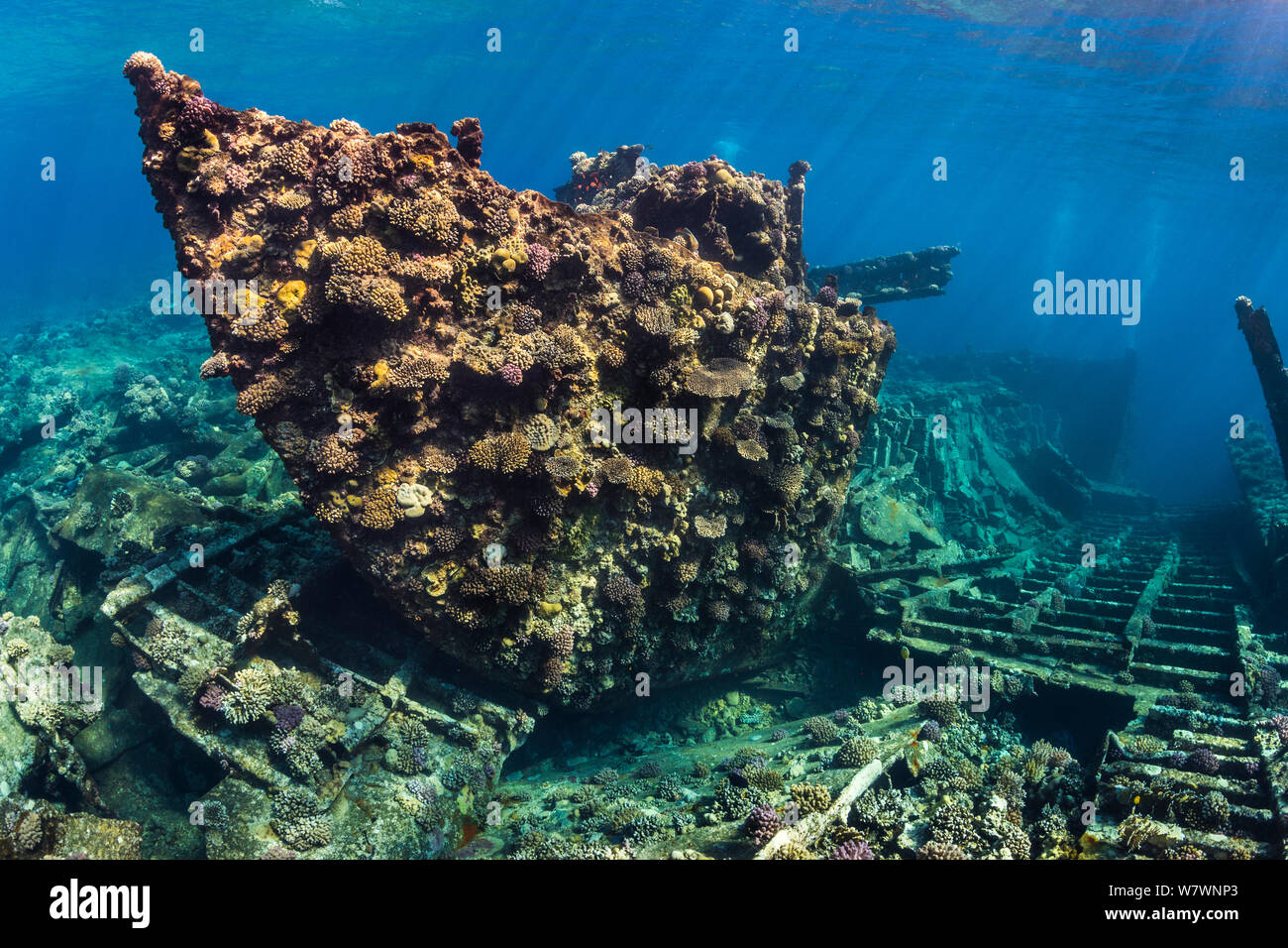 The bow of Chrisoula K wreck (also known as the tile wreck) Abu Nuhas ...