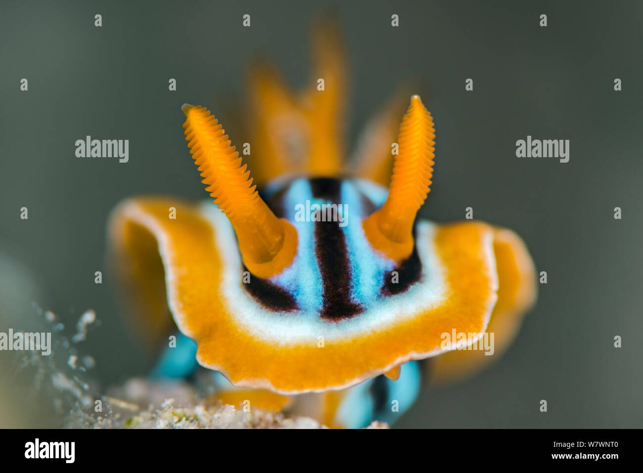 Strait of gubal hi-res stock photography and images - Alamy