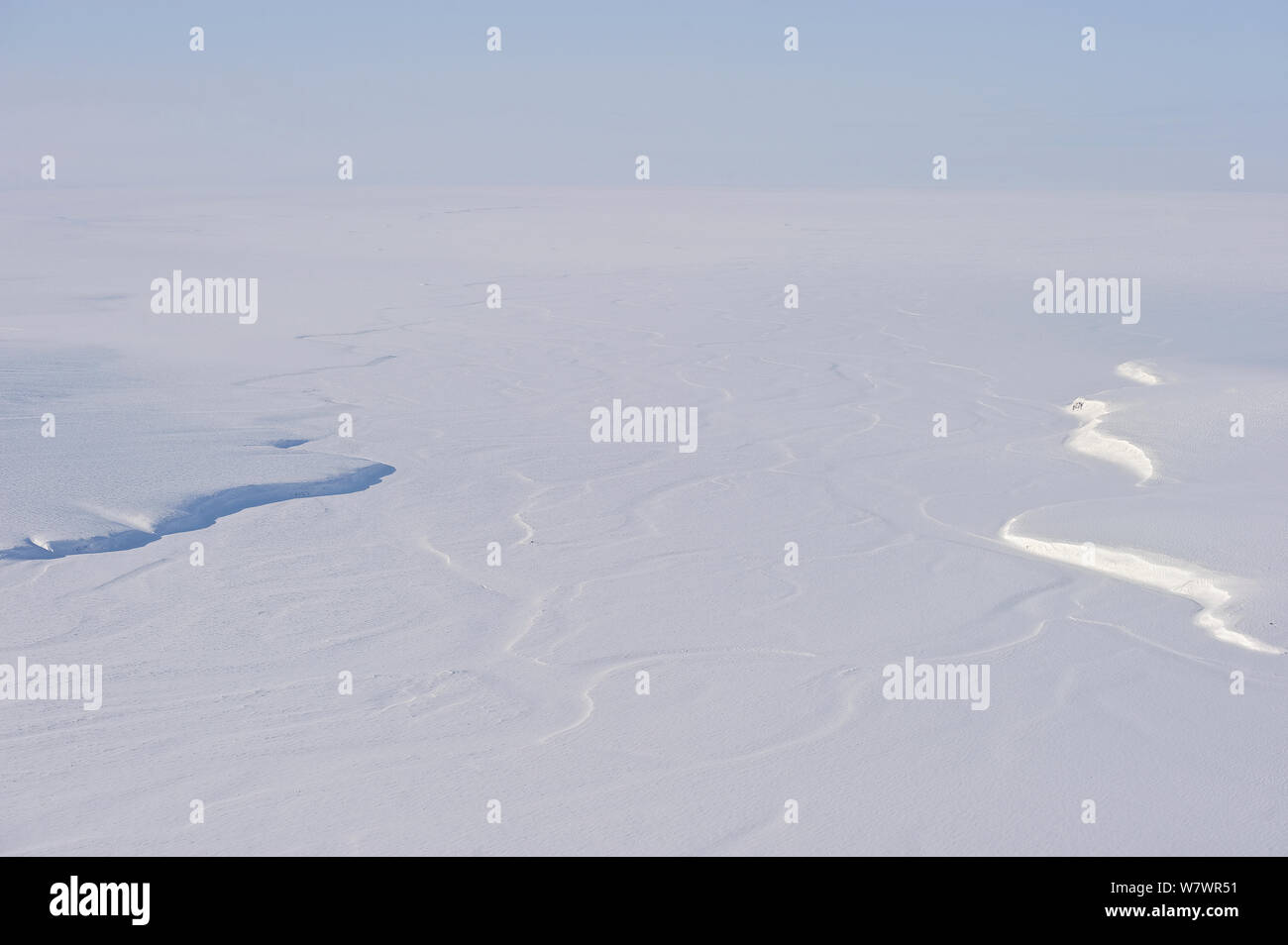 Fast ice off the coast of Wrangel Island, Far Eastern Russia Stock ...