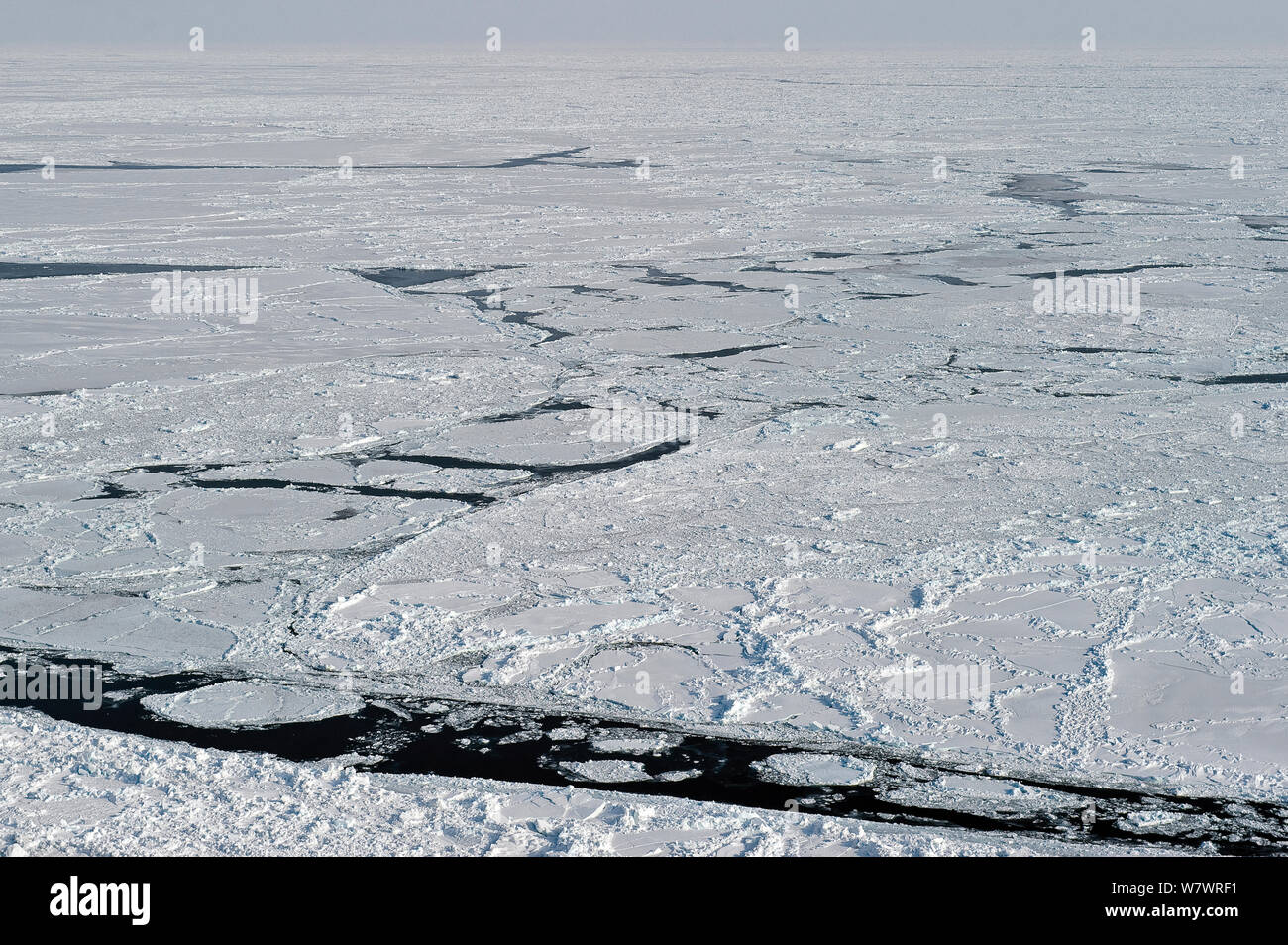Ice pack hi-res stock photography and images - Alamy