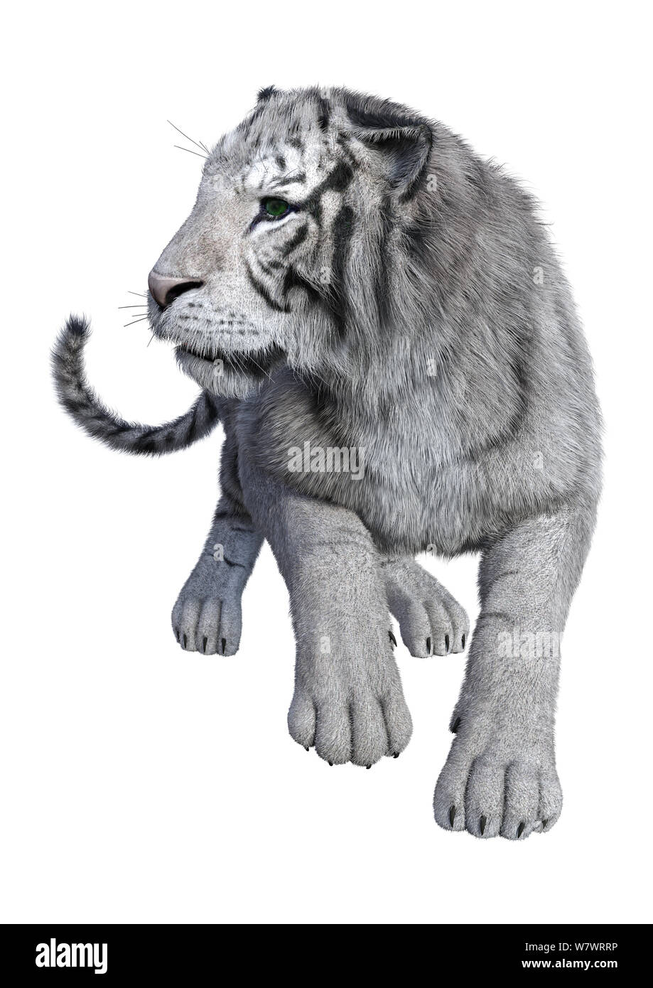 3D rendering of a white tiger isolated on white background Stock Photo ...