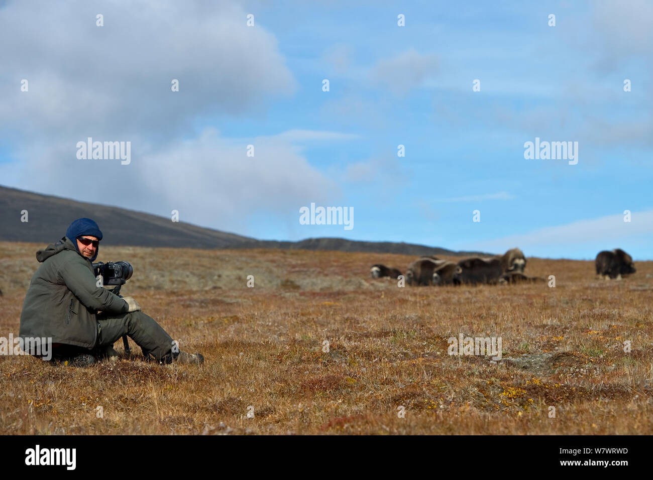 Sergey gorshkov hi-res stock photography and images - Alamy