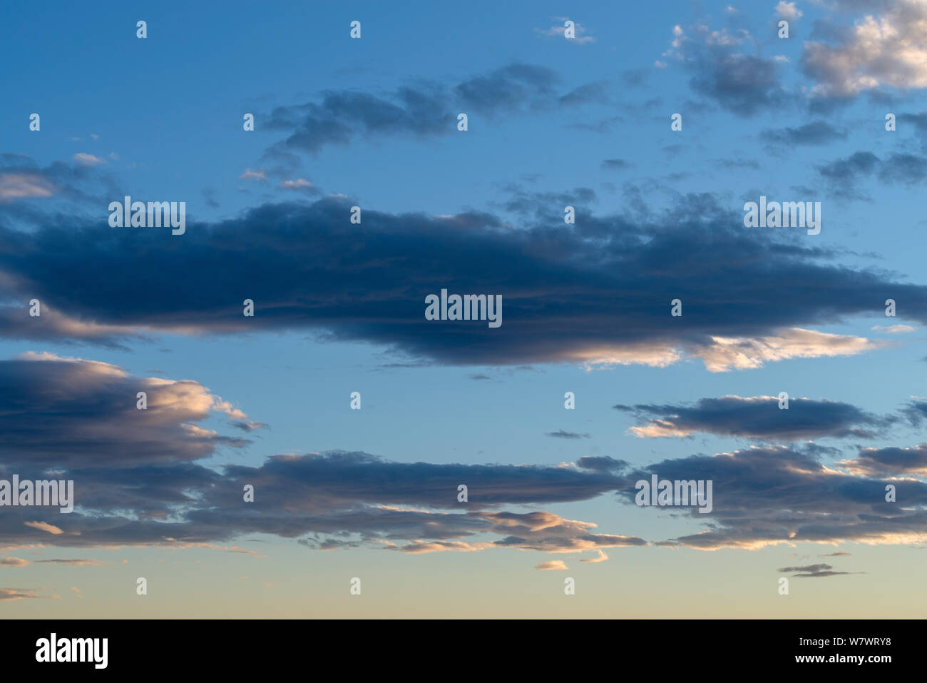 Stratocumulus stratiformis clouds at evening twilight Stock Photo - Alamy
