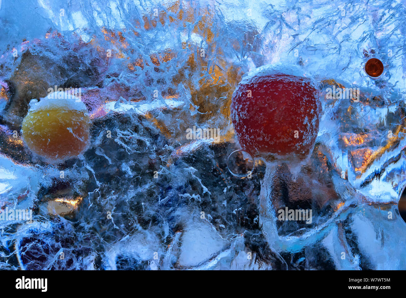 Frozen fresh apples in ice Stock Photo - Alamy