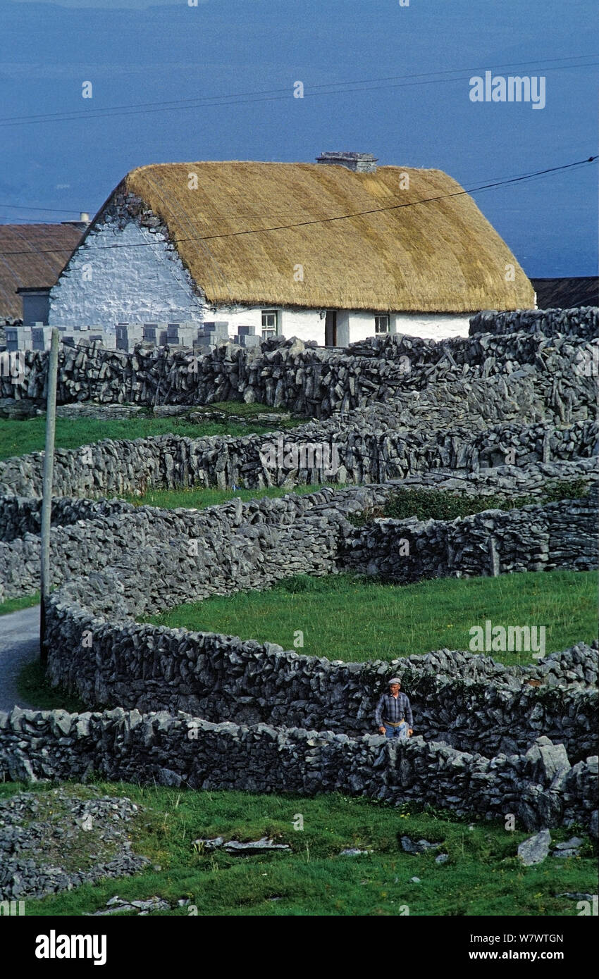 Irish landscape with stone walls and thatched cottage, Aran islands ...