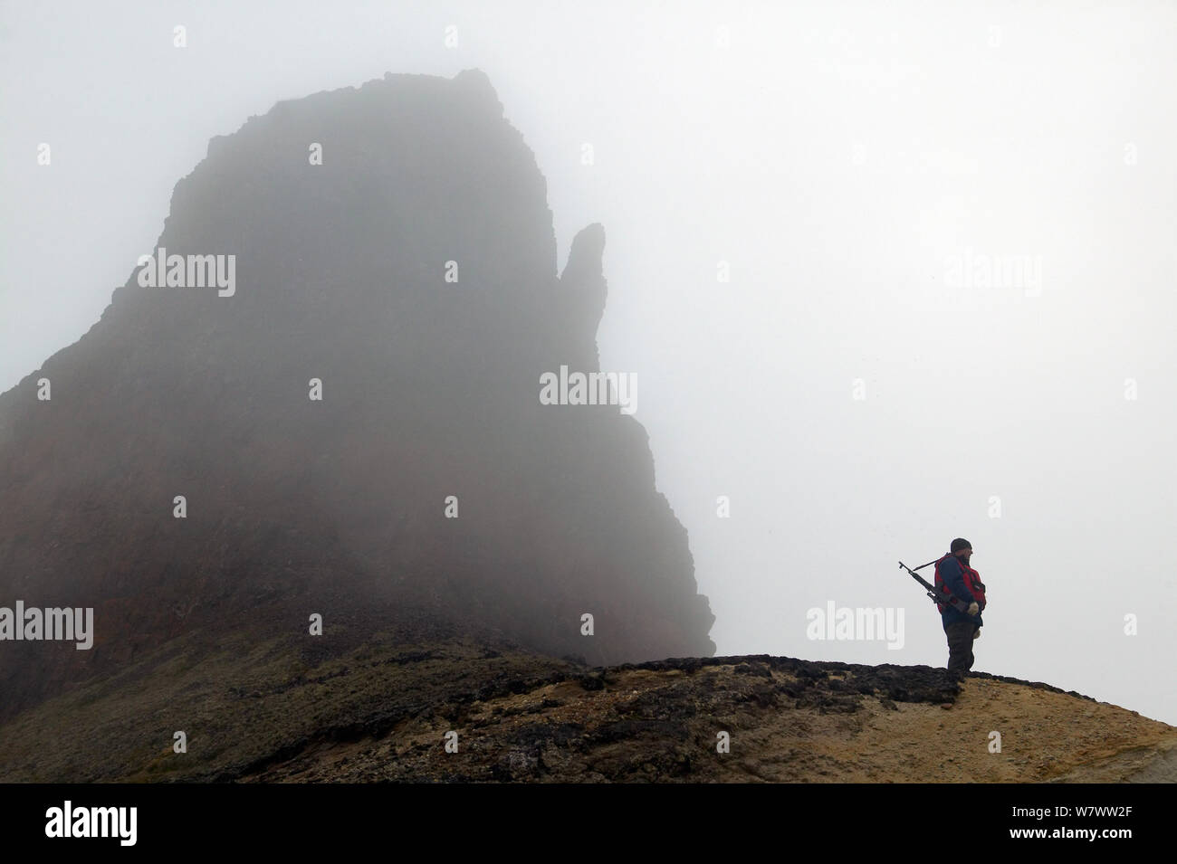 Polar bear guard with gun standing in mist, Franz Josef Land, Russian ...