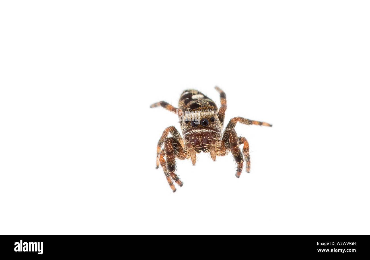 Metro washington dc Cut Out Stock Images & Pictures - Alamy