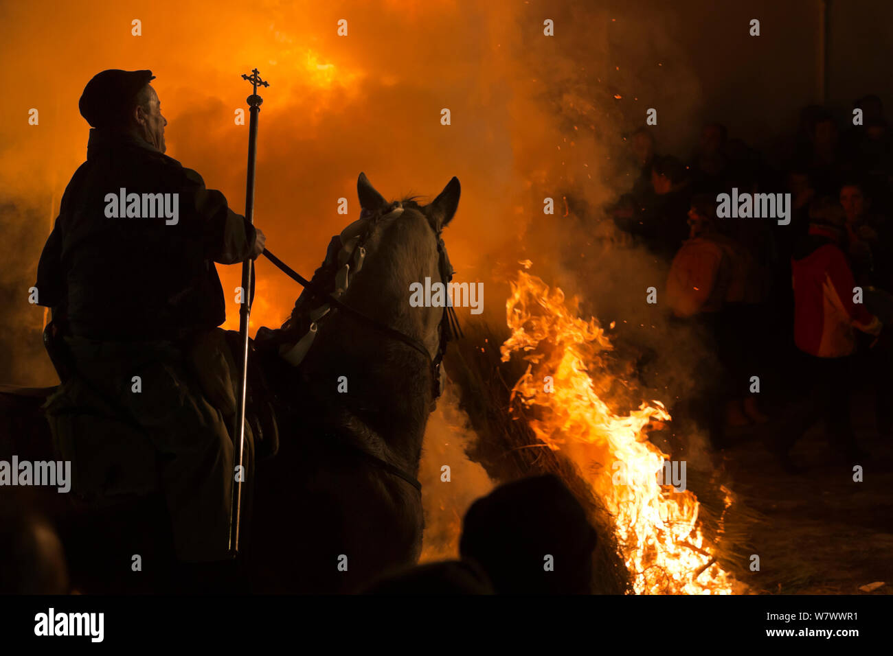 Man With Horse From Behind High Resolution Stock Photography and Images ...