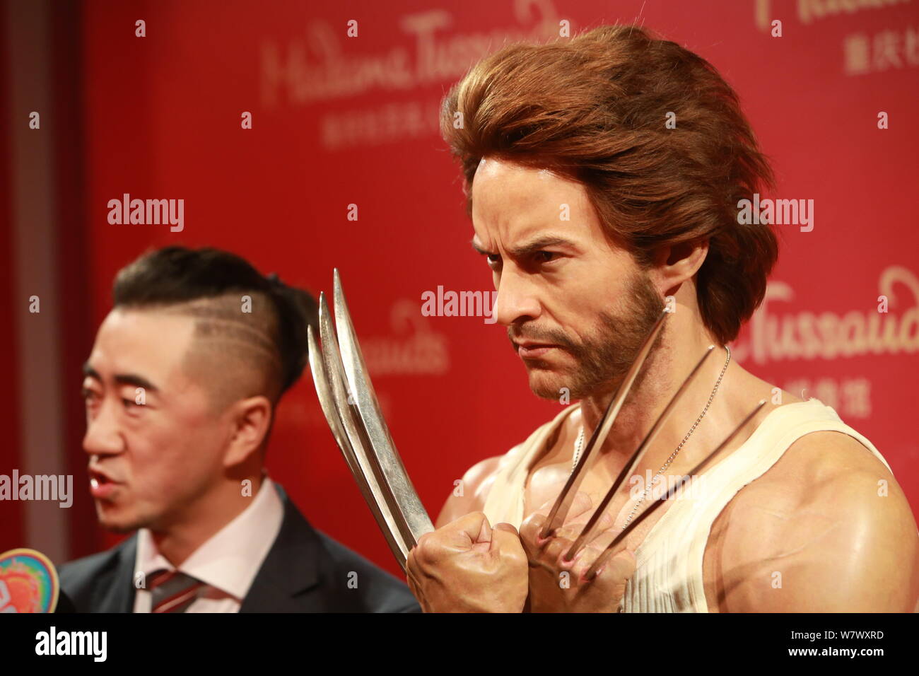 A wax figure of Wolverine played by Australian actor Hugh Jackman in ...
