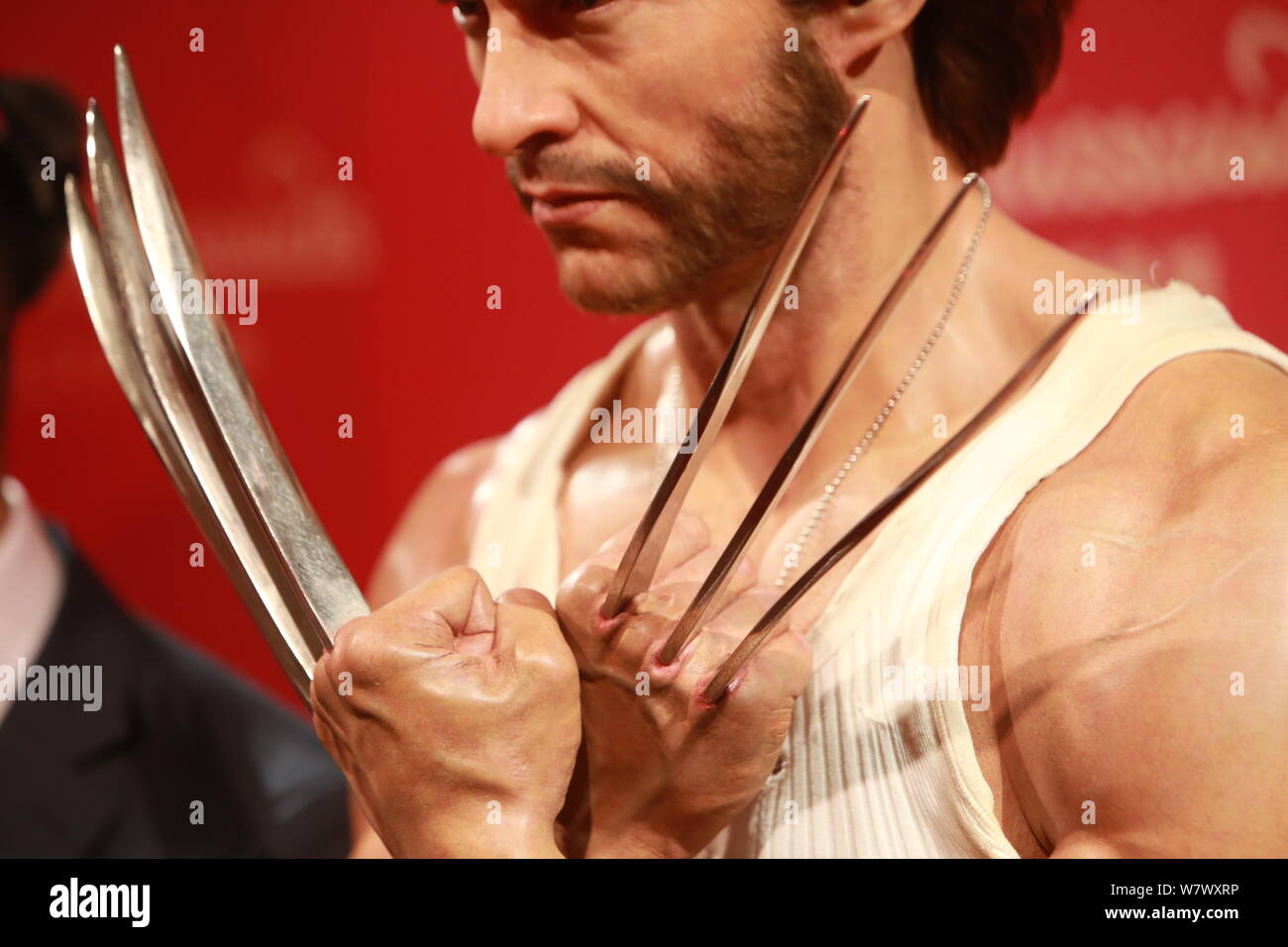 A wax figure of Wolverine played by Australian actor Hugh Jackman in ...