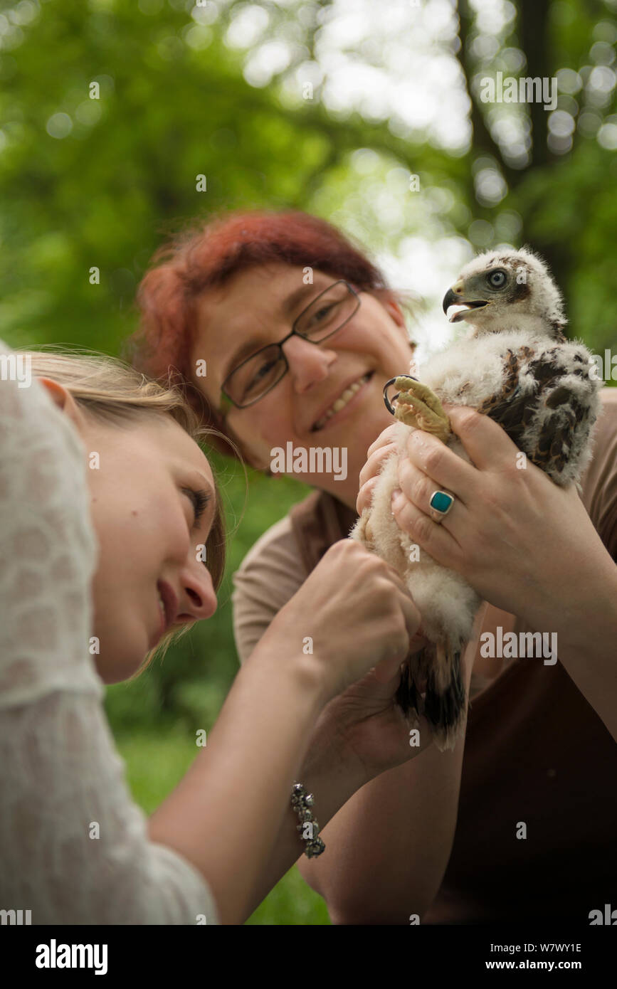 Cloaca hi-res stock photography and images - Alamy