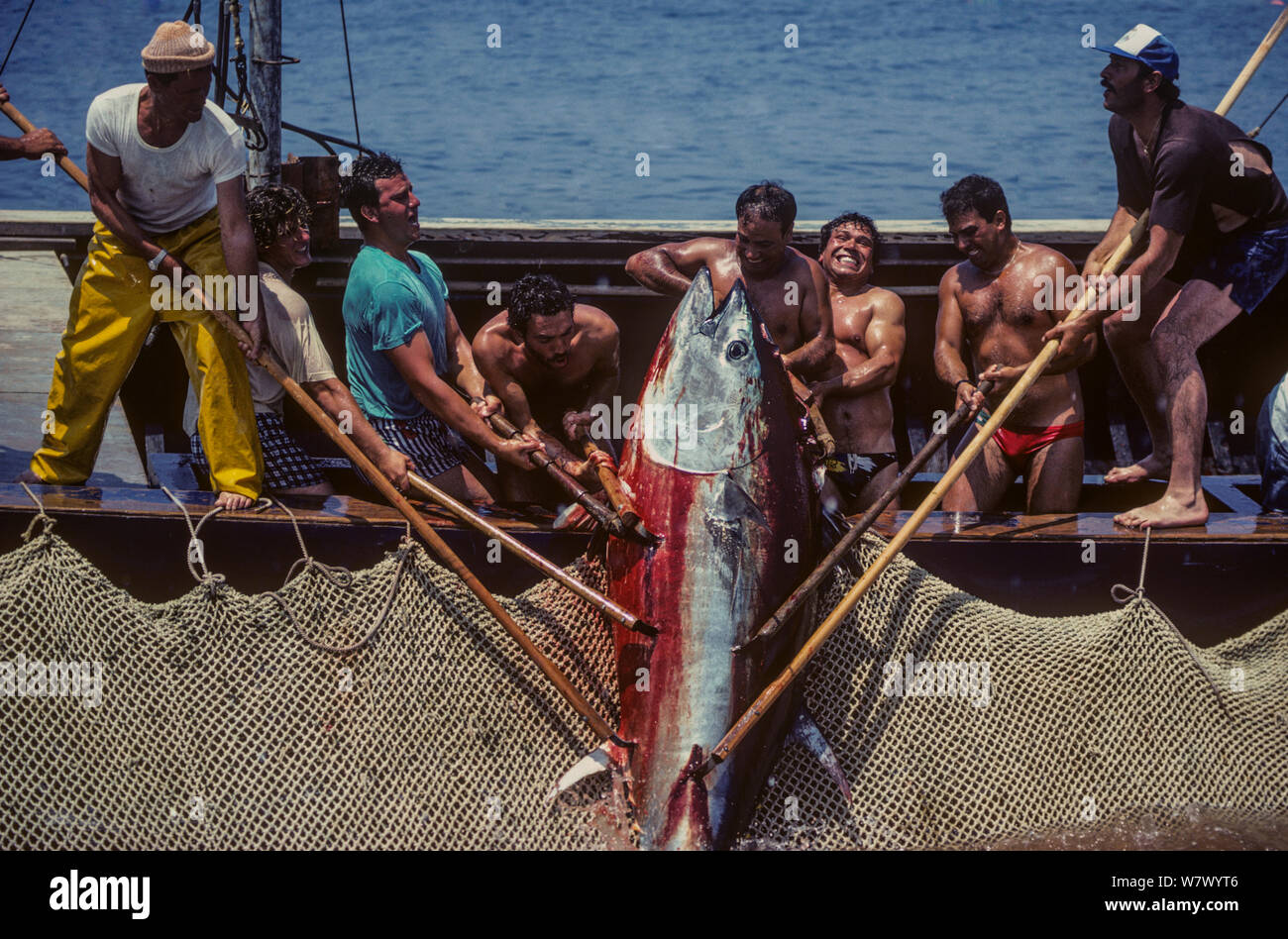 Marine slaughter hi-res stock photography and images - Alamy