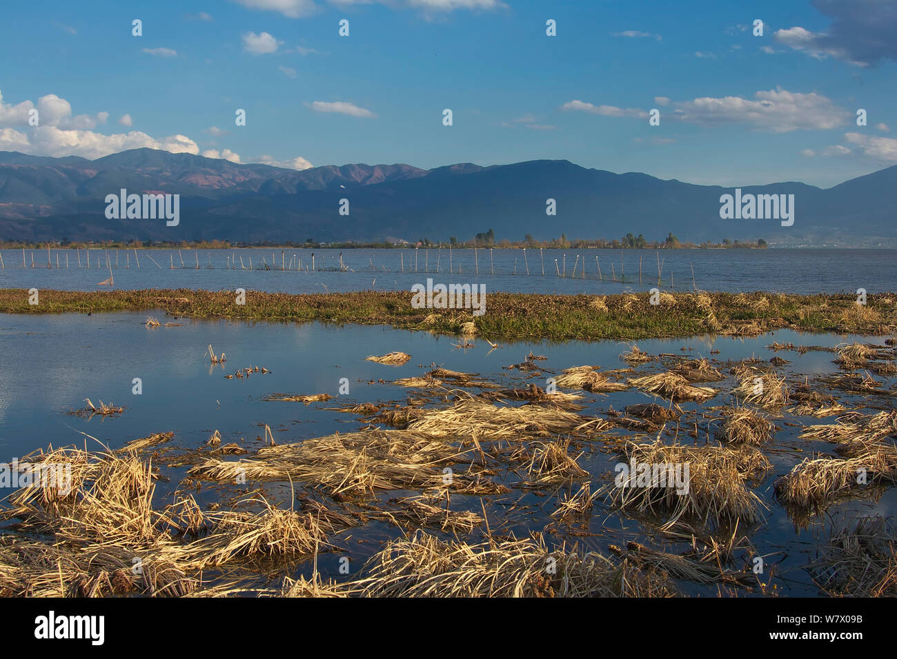 Lake and surrounding wetlands with nets, near Xichang City, Sichuan ...