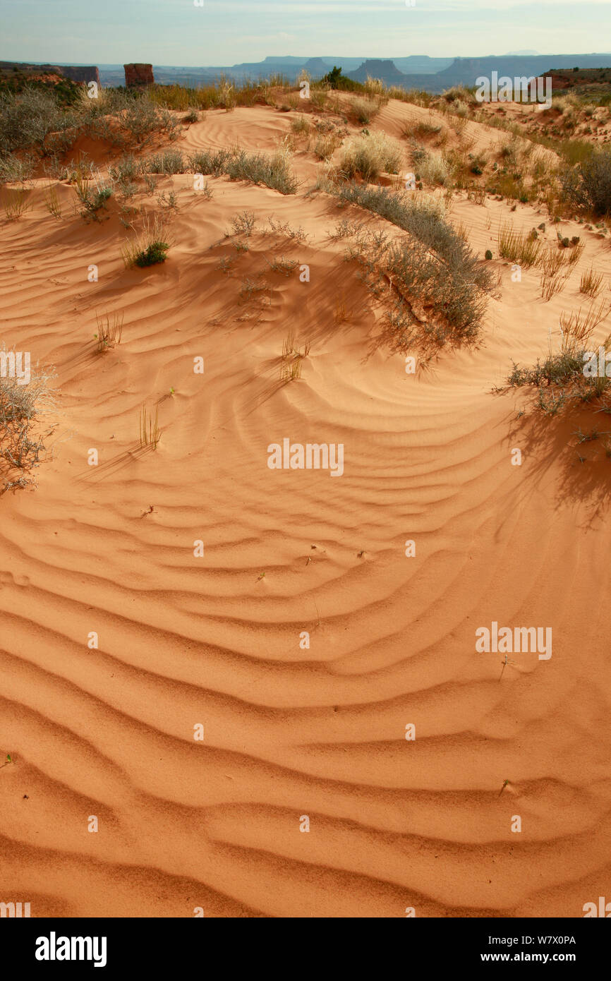 Arid western deserts hi-res stock photography and images - Alamy