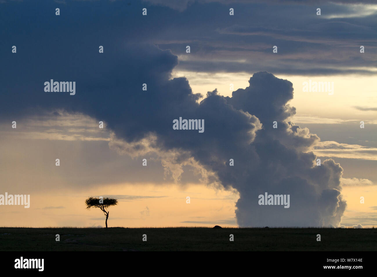 Big sky landscape hi-res stock photography and images - Alamy