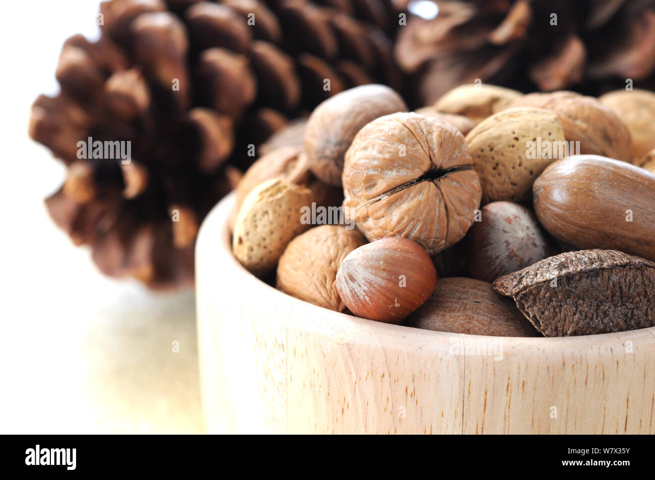 Hard pine cone hi-res stock photography and images - Alamy