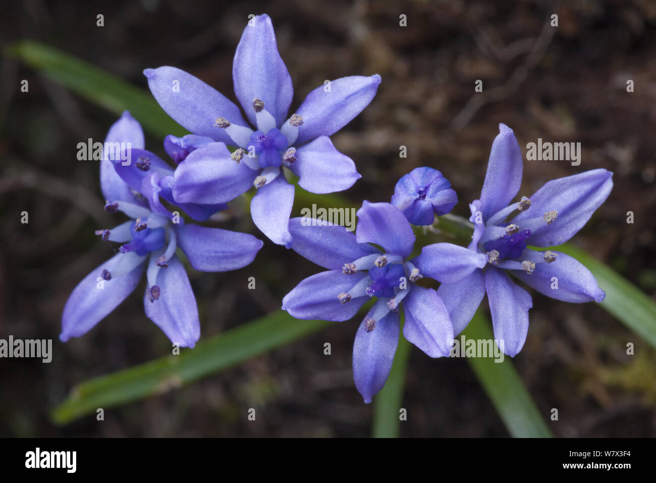 Spring june britain uk hi-res stock photography and images - Alamy