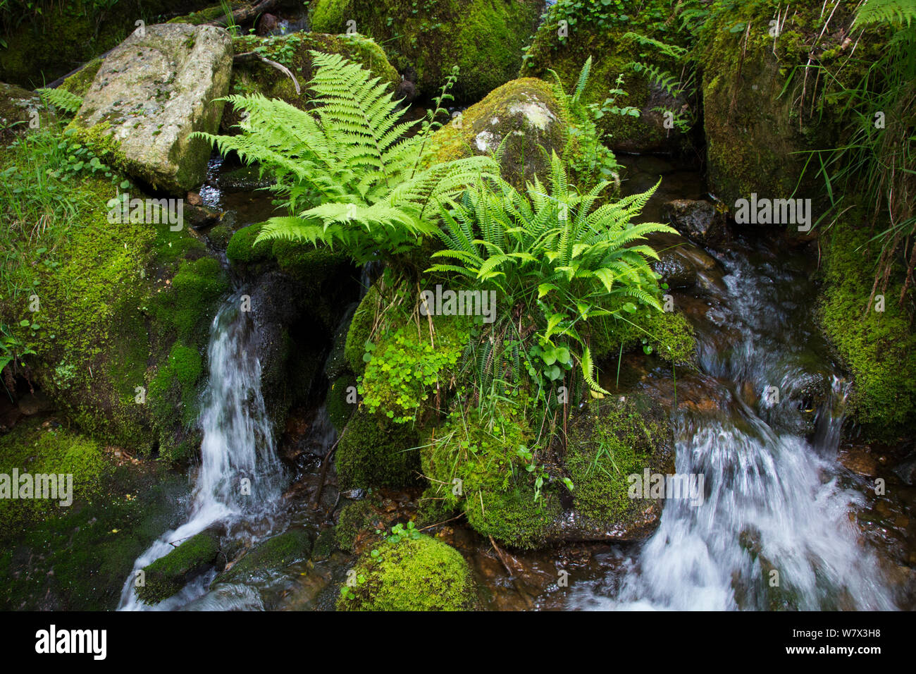 Devon waterfalls hi-res stock photography and images - Alamy