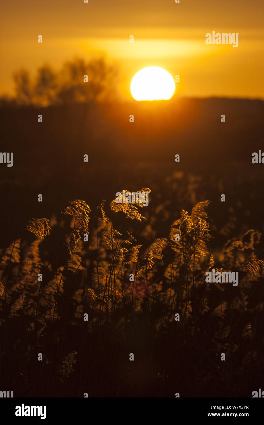 Europe sunset setting hi-res stock photography and images - Alamy
