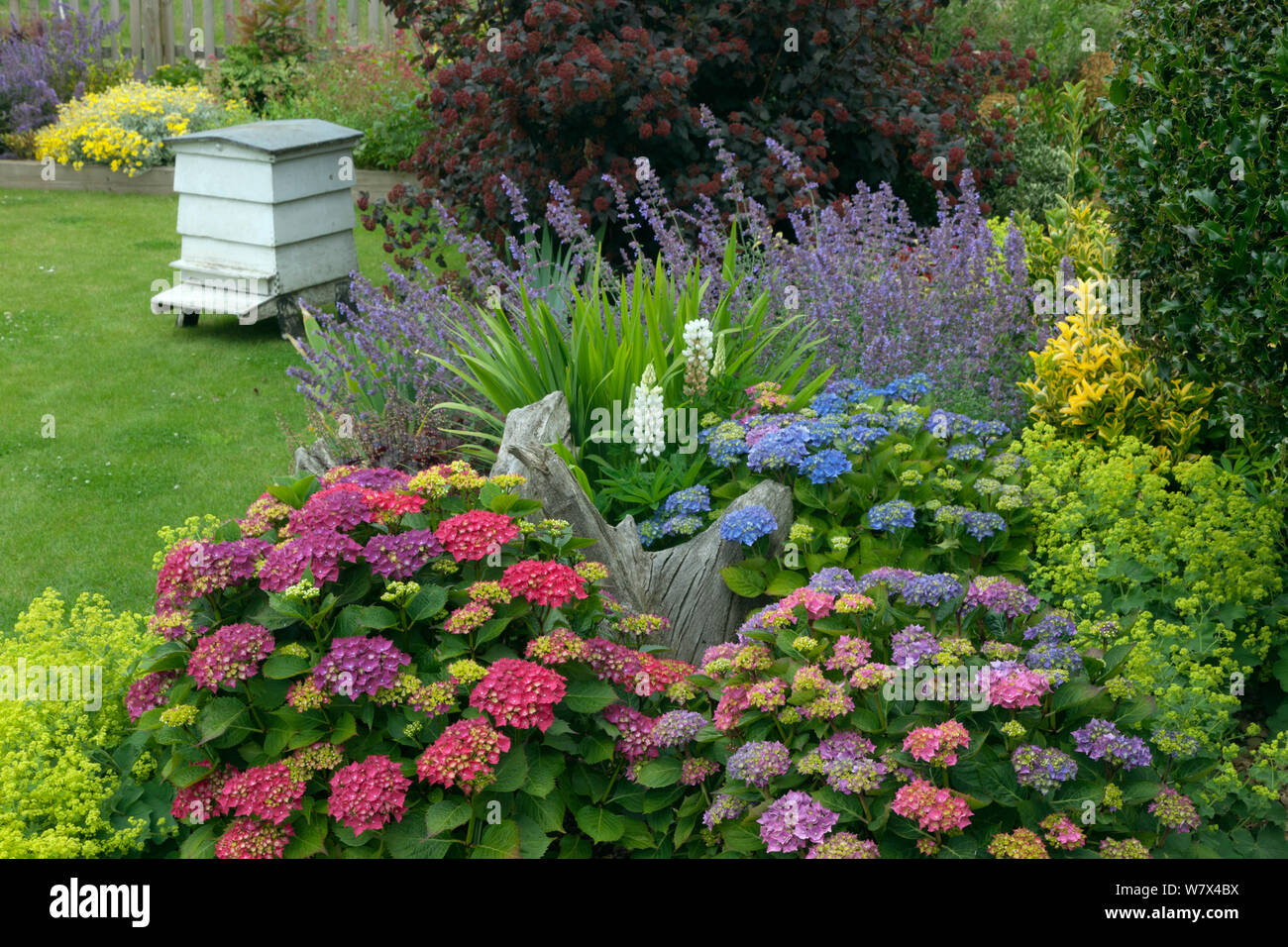 Traditional bee hive in cottage garden, UK, June Stock Photo - Alamy