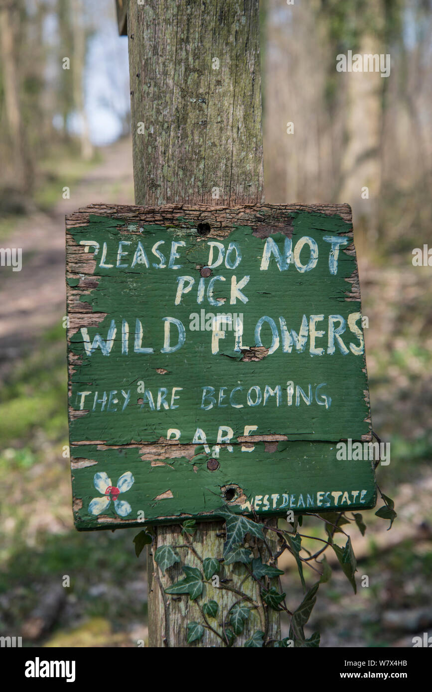'Do Not Pick Wild Flowers' sign, Sussex, England, March 2014 Stock ...