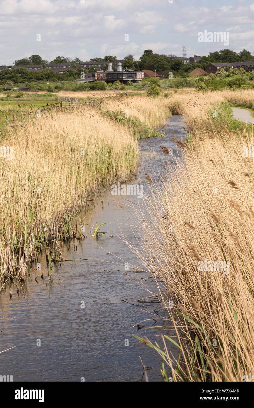 Protected rspb reserve hi-res stock photography and images - Alamy
