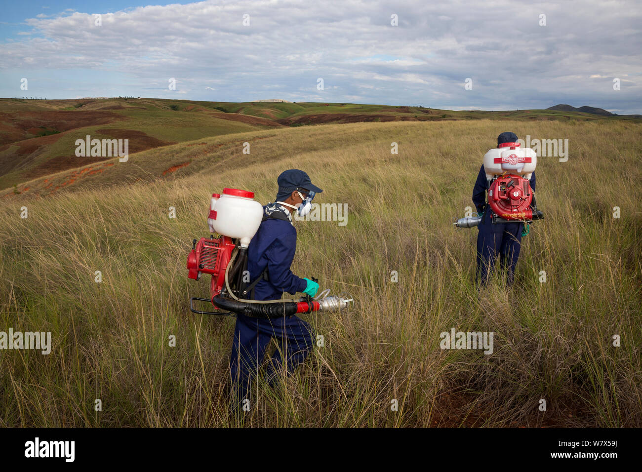 Food and Agriculture Organization (FAO) locust control operation ...
