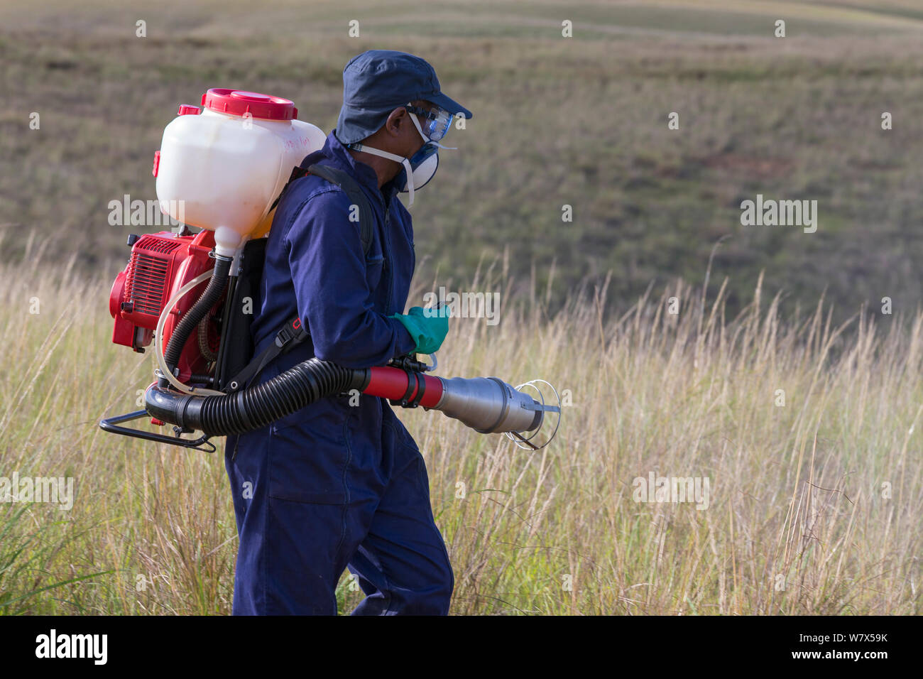 Spraying insecticides hi-res stock photography and images - Alamy