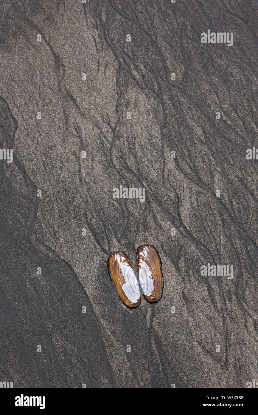 Cook inlet lake clark national park hi-res stock photography and images ...