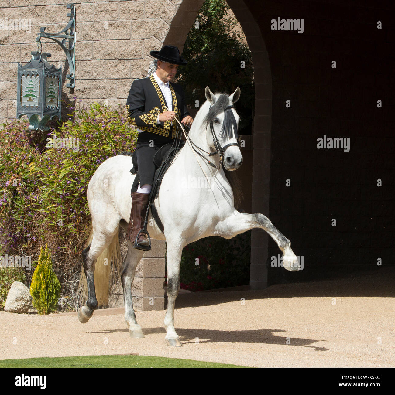 Horse rider in Manuel Trigo traditional Spanish costume performing ...